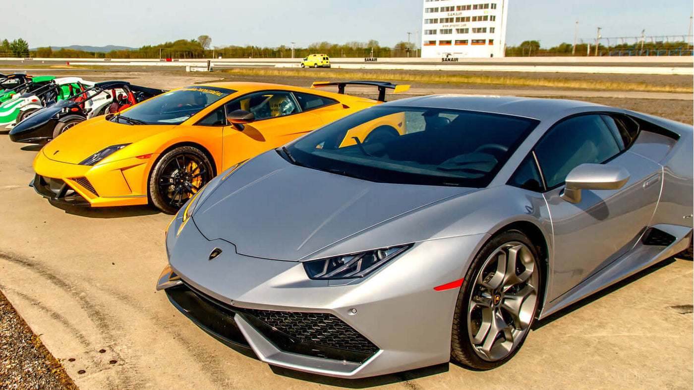 Montreal Exotics Experience